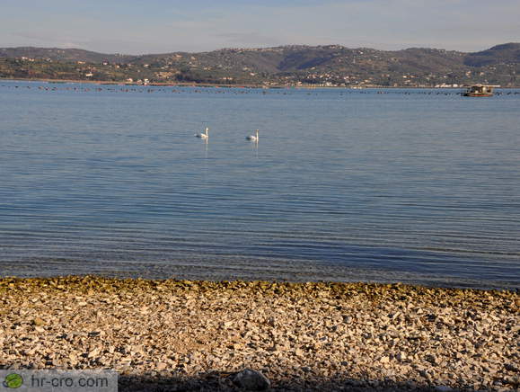 Kanegra - Strand [Fotos]| HR-CRO - Kroatien